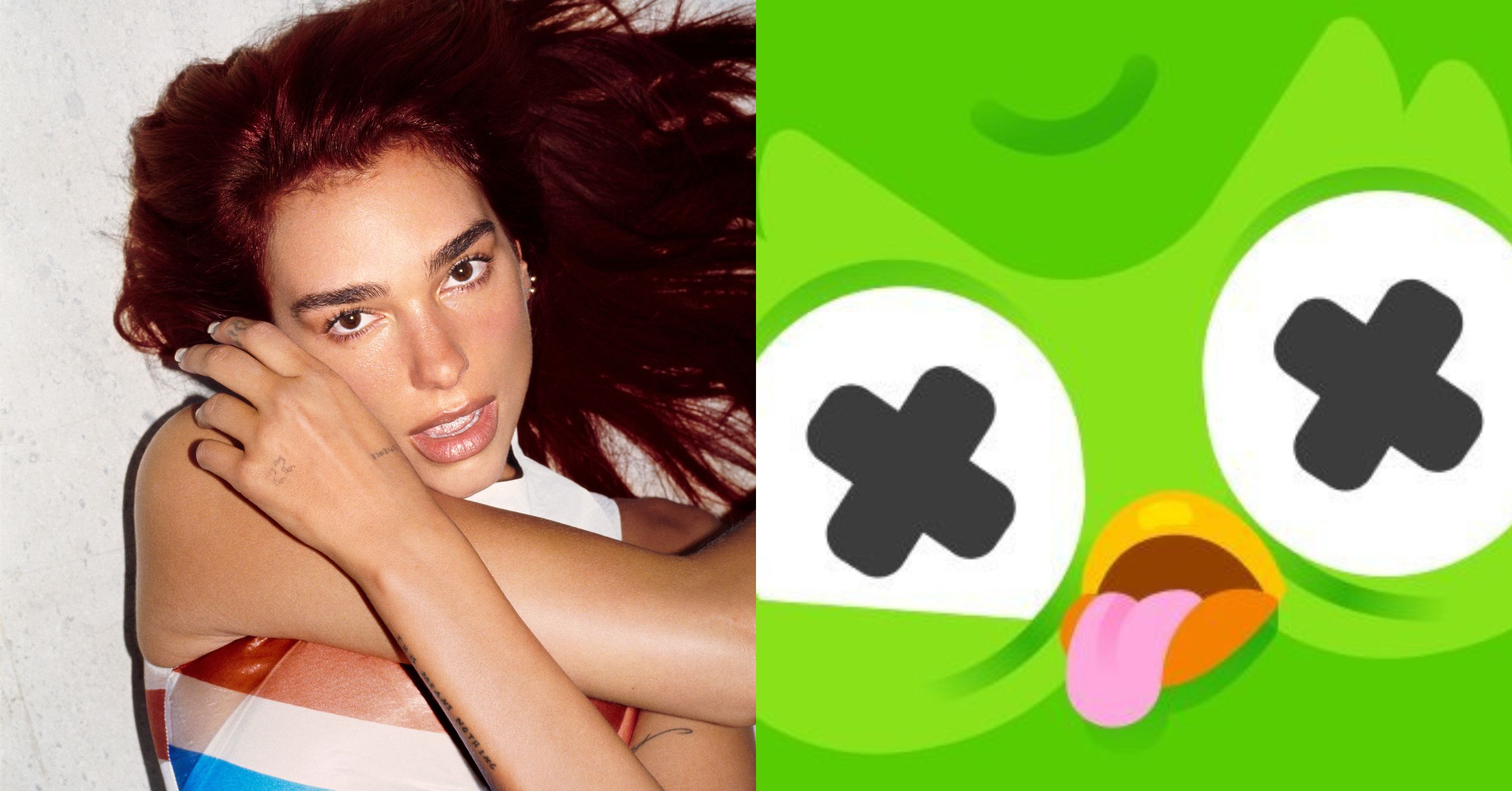 Dua Lipa Mourns Death Of Duolingo's Mascot, Duo The Owl